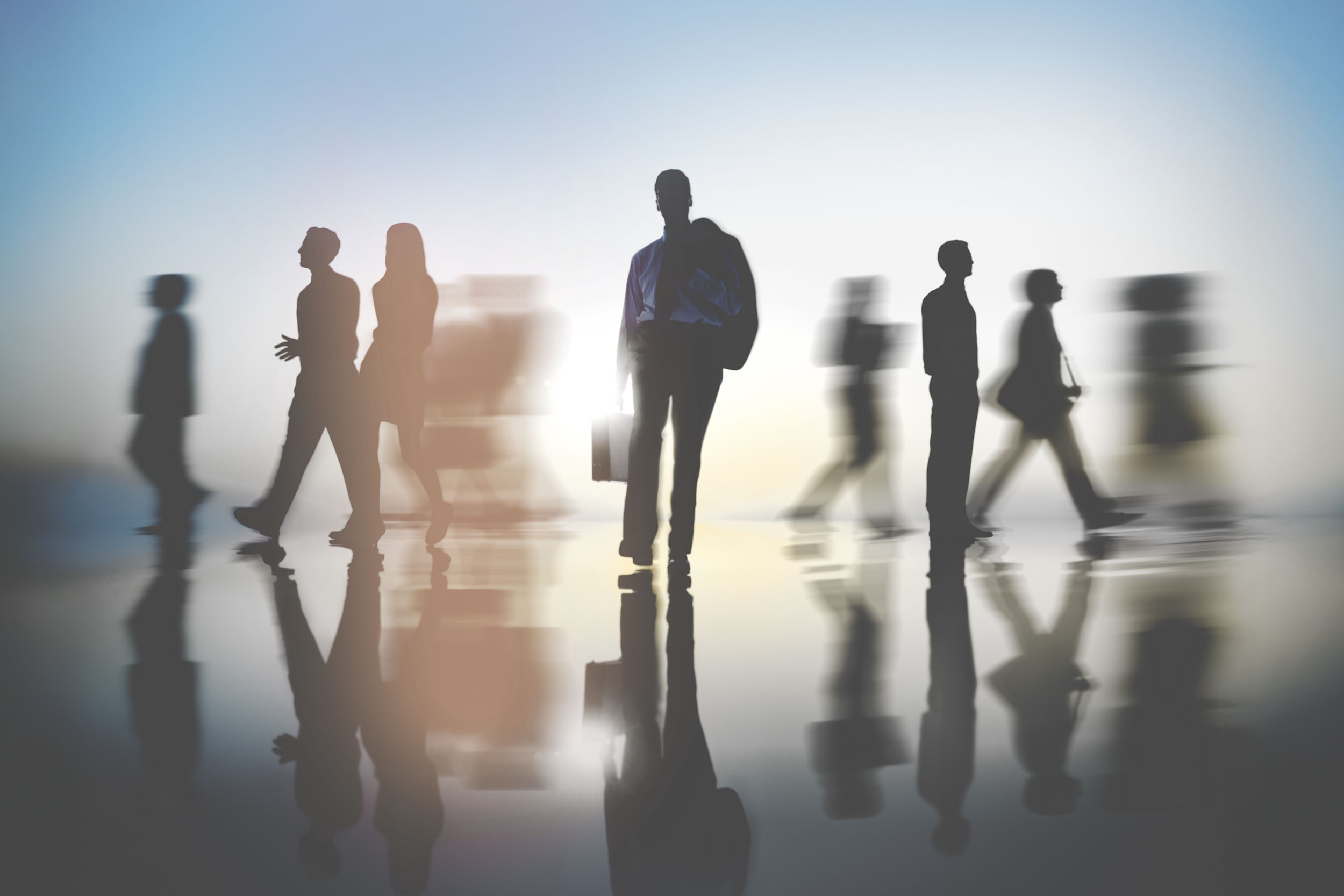 Careers – Praneel Group